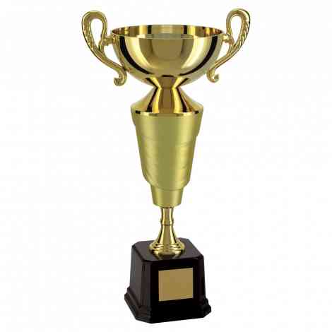 Troféu com taça em 3 tamanhos e 2 cores 401515 | Troféus Friendz